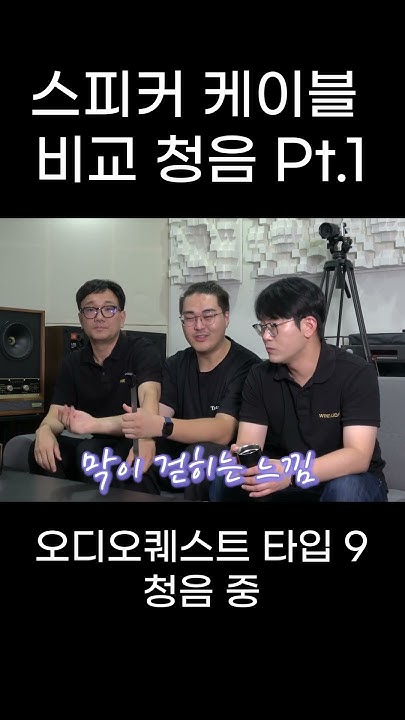 스피커 케이블 비교 청음 Pt 1 오디오퀘스트 타입 9 청음 반응 모음 이렇게나 소리가 바뀝니다 Youtube