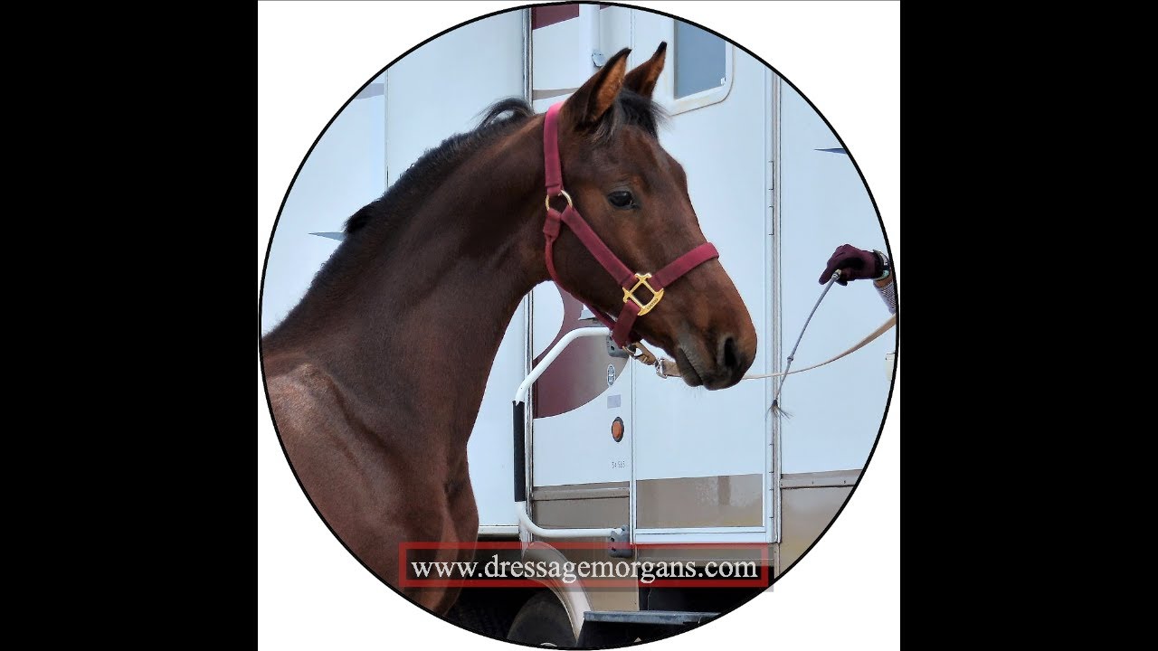 ATMF Noble Wind at 6 months - YouTube