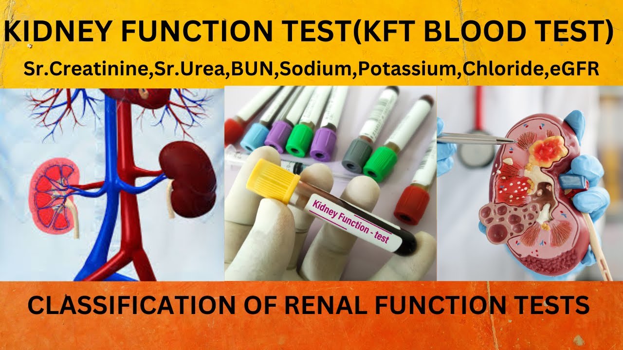 KFT,RFT BLOOD REPORT.KIDNEY FUNCTION TEST USES INDICATION.KFT REPORT ...