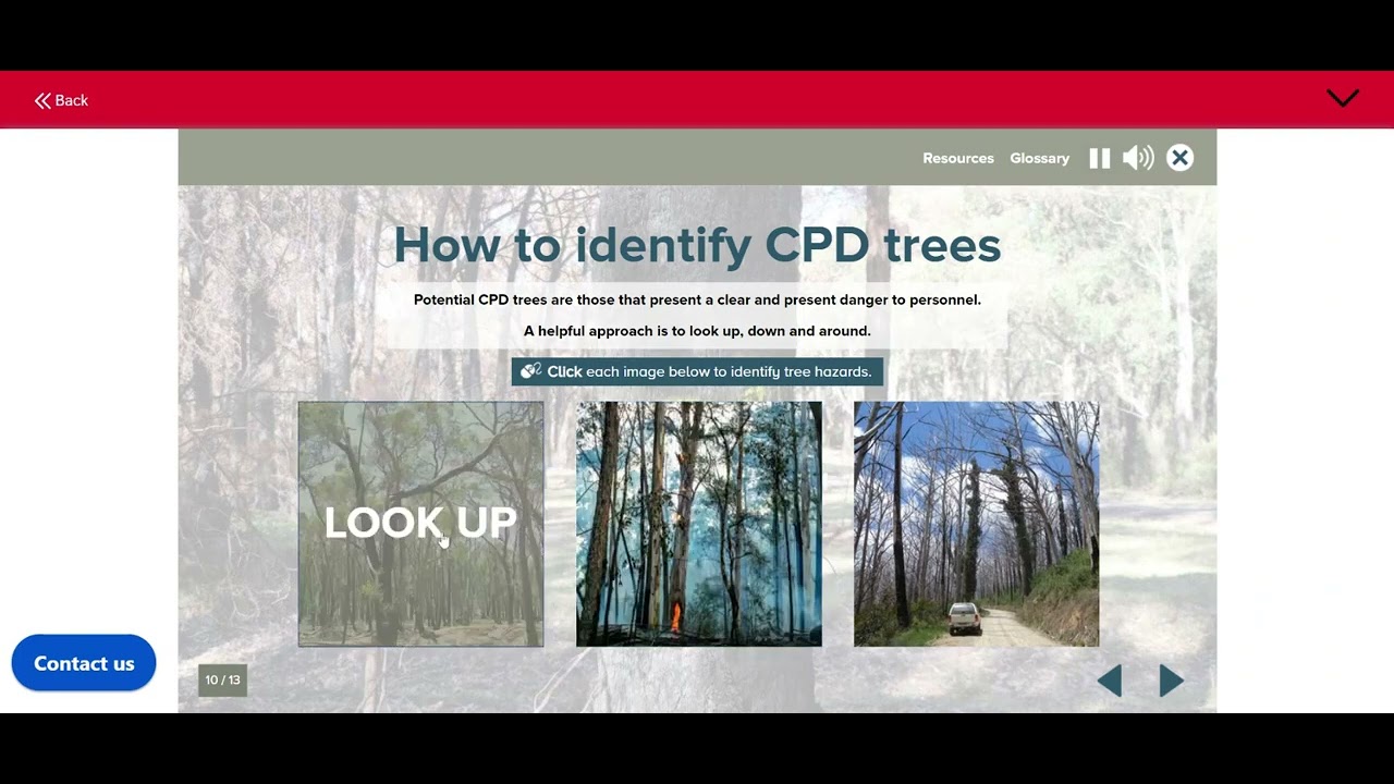 CFA TREE HAZARD 2022 - YouTube