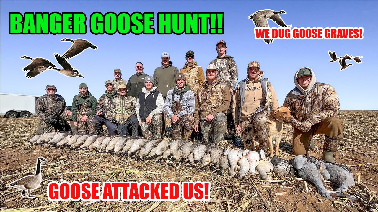 BANGER GOOSE HUNT! West Texas Goose Hunt - YouTube
