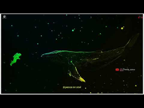PEACE on SOUL☯️ | SPACE🌌 | WHATSAPP STATUS | ASTRONAUT | WHALE