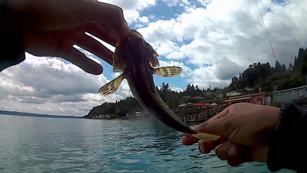 MICRO Fishing the Puget Sound. (Recorded on a Campark ACT74) - YouTube