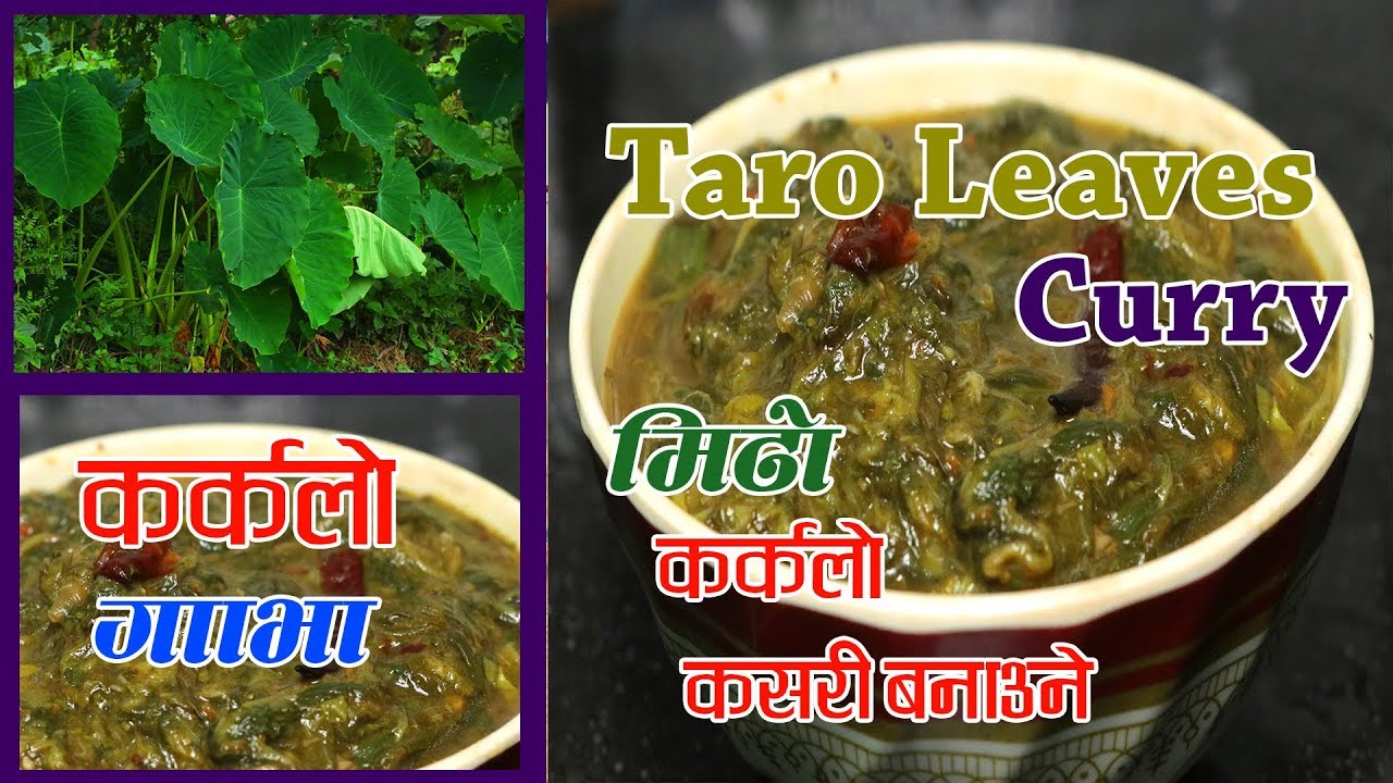 कर्कलो गाभा । karkalo ko tarkari | Taro Leaves Curry | Gava | sajilo ...