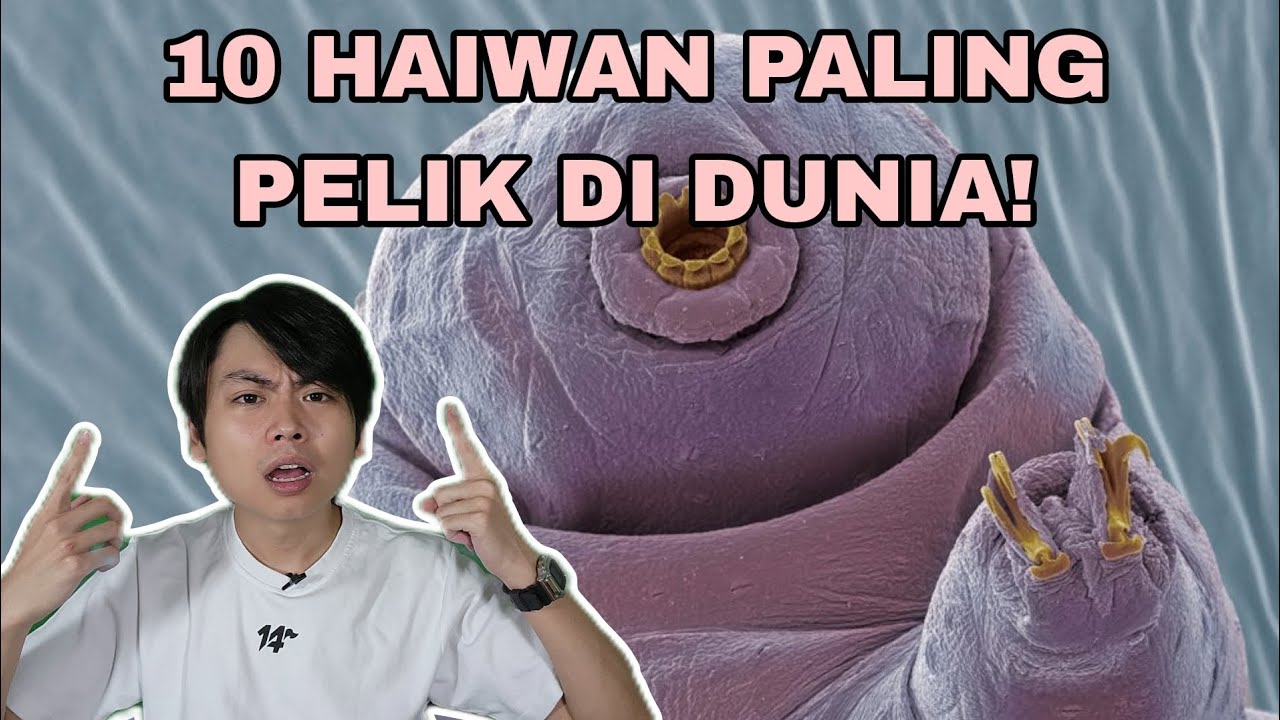 10 Haiwan Pelik Anda Tak Sangka Wujud! - YouTube