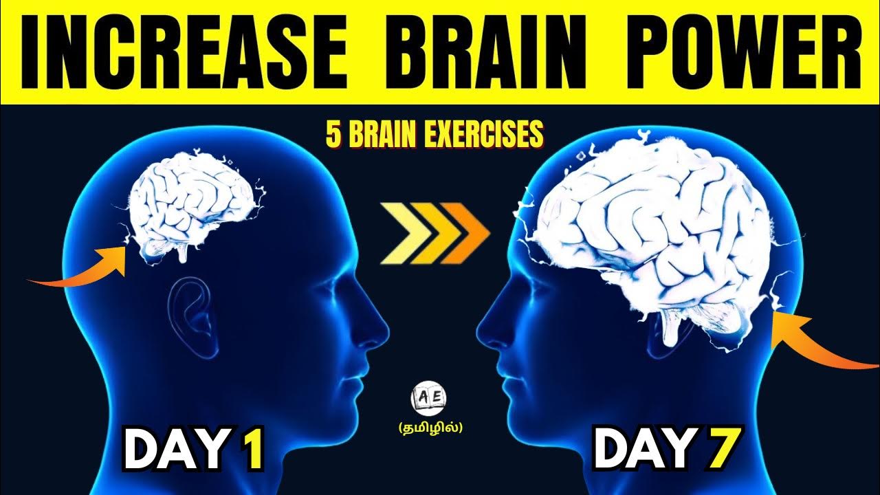 5 BRAIN EXERCISES For Increasing Brain Power Tamil Do This To 5-brain-exercises-for-increasing-brain-power-tamil-do-this-to