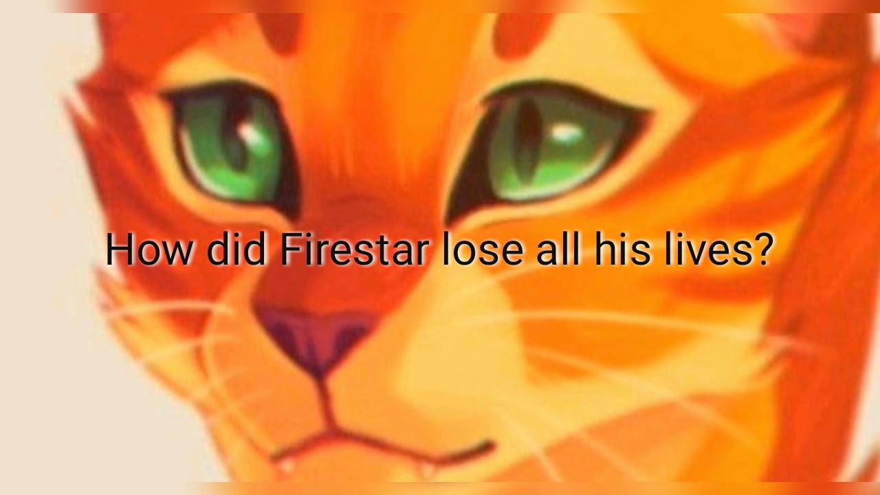 How did Firestar lose all his lives? |CINDERPELT| - YouTube