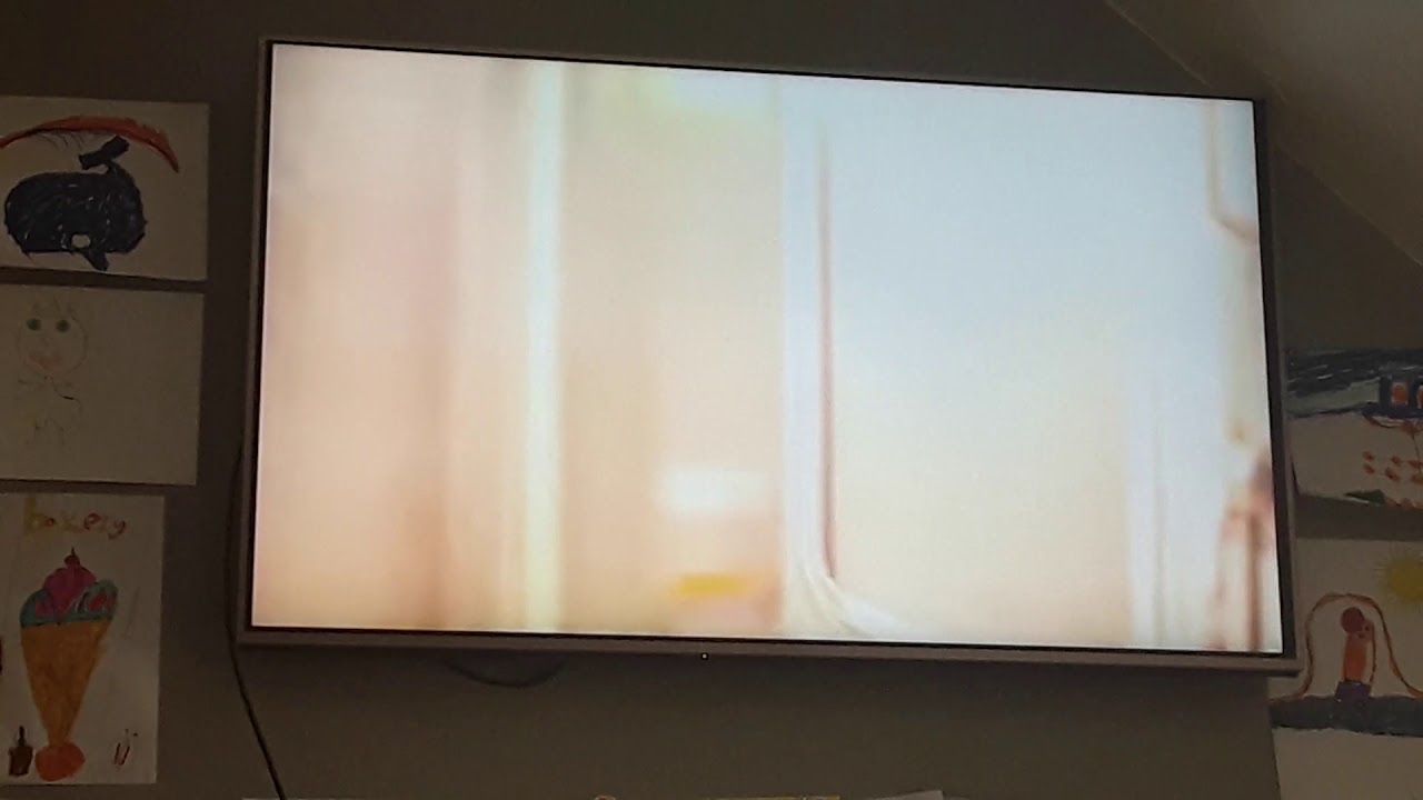 5USA BEAR Ident 2009. - YouTube