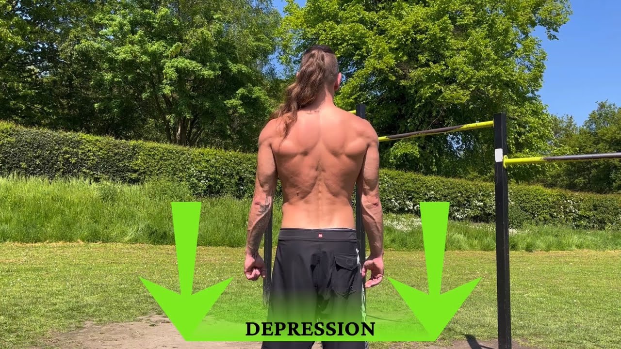 Shoulder blade (Scapula) Movements cue terms - YouTube