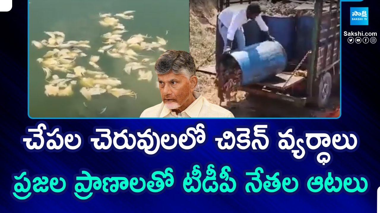 TDP Leaders Anarchy : Feeding Chicken Waste to Fishes | Nellore ...