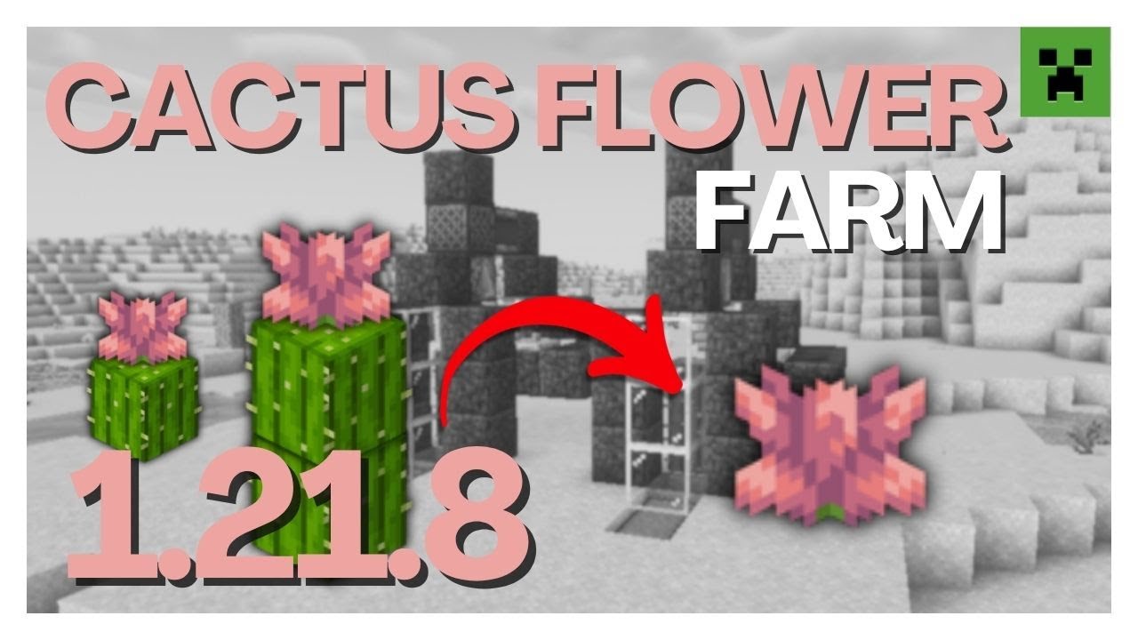 How to Build a Cactus Flower Farm in Minecraft 1.21.8 🔥 Easy, Fast ...