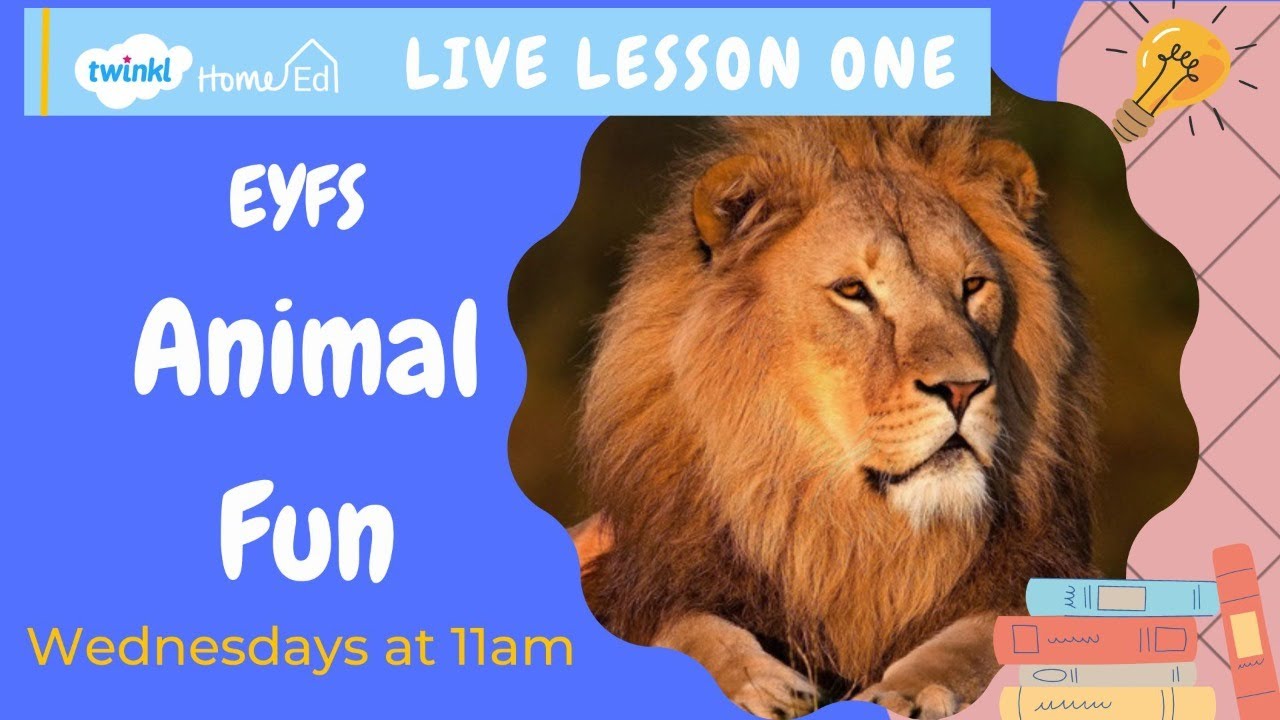 EYFS Animals and Fun Lesson One - YouTube