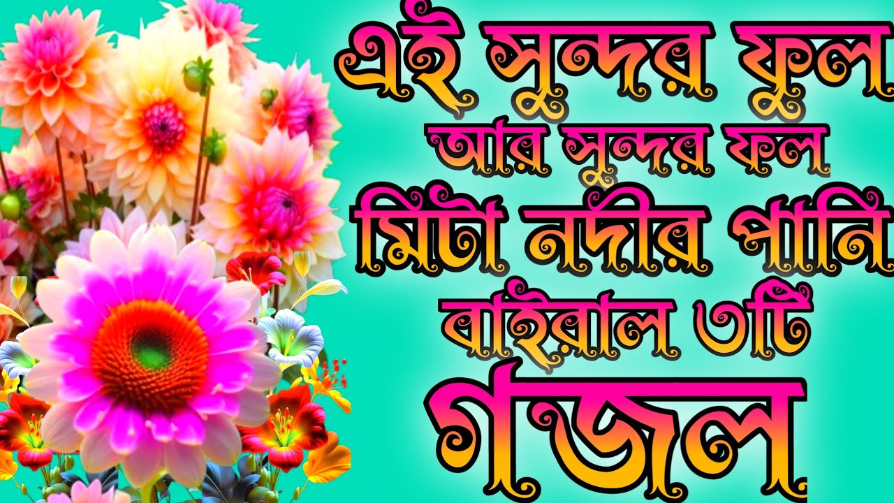 এই সুন্দর ফুল সুন্দর ফল মিটা নদীর পানি|বাংলা গজল|ei sundor fool sundor ...