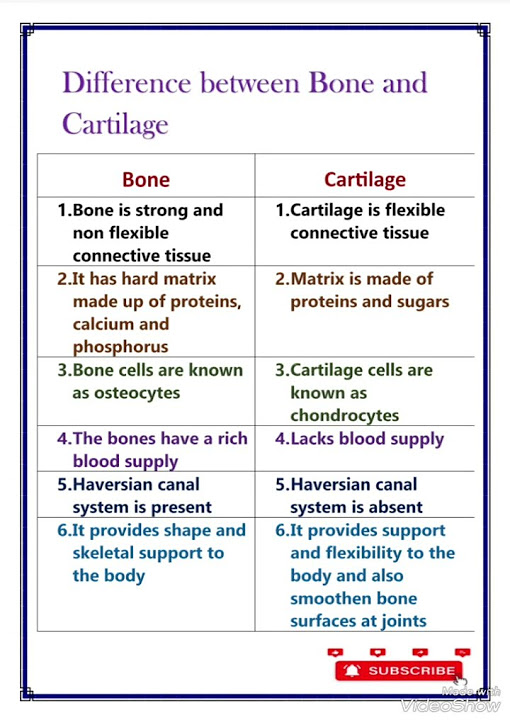 Difference between Bone and Cartilage - YouTube