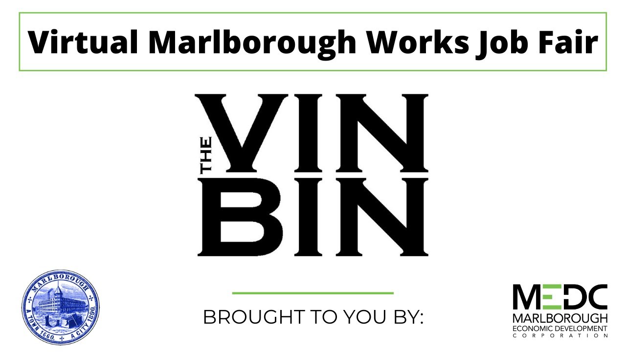 Vin Bin | 2020 Virtual Job Fair - YouTube