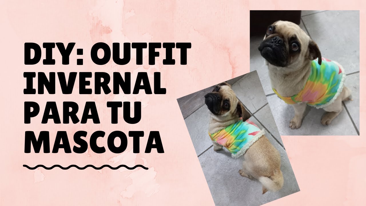 Como hacer ropita para perro + Patrón gratis - YouTube