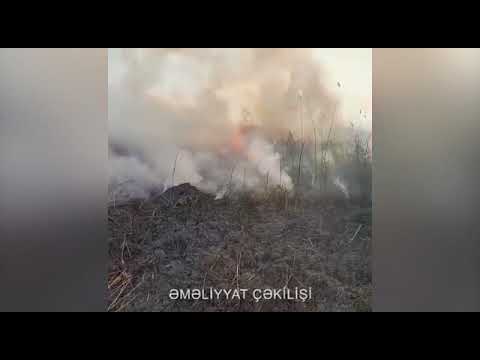 FHN Mətbuat xidmətinin məlumatı