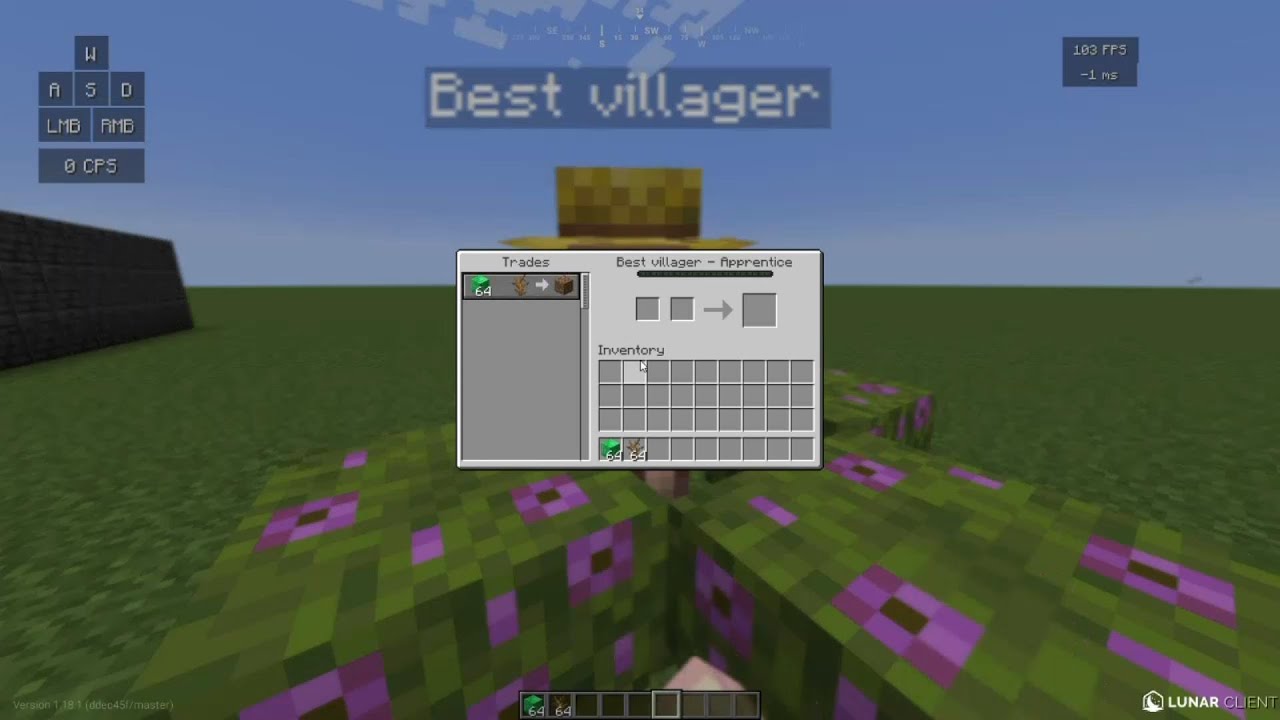 When a Villager scams you - YouTube