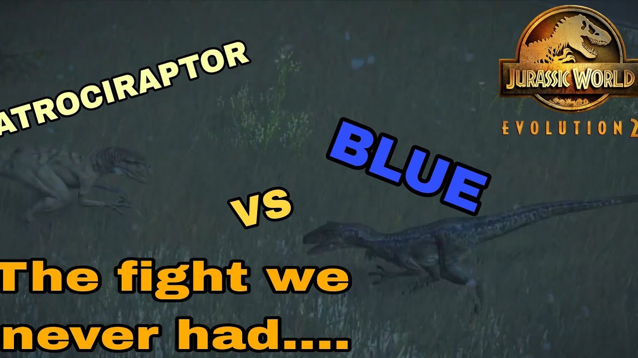 BLUE VS THE ATROCIRAPTOR- Is blue the strongest??? - Jurassic world ...