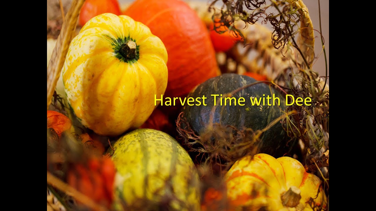 Harvest Time with Dee reloaded - YouTube