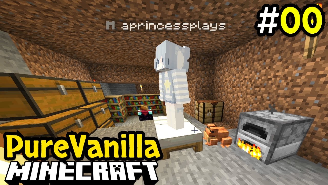 How We Started on Pure Vanilla SMP - YouTube