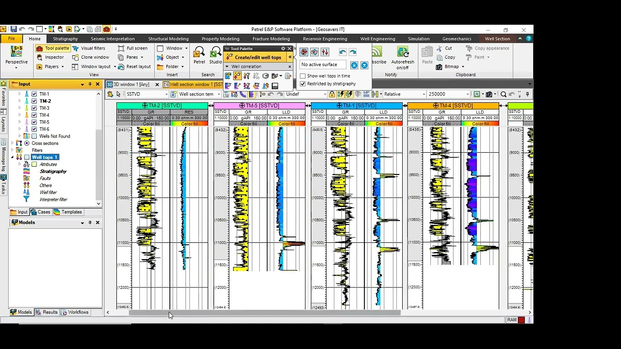 Log analysis with petrel - YouTube