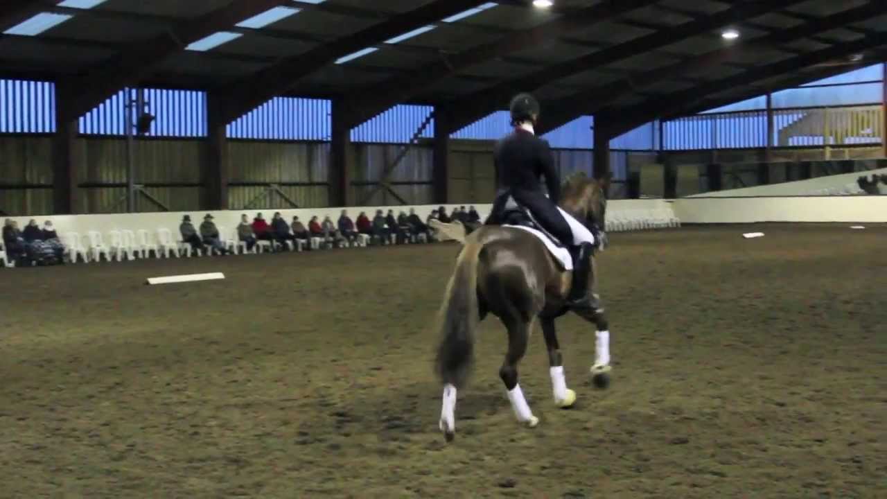 Pippa Hutton Freestyle - YouTube