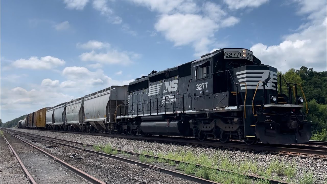 Roaring NS and Friendly NS - YouTube
