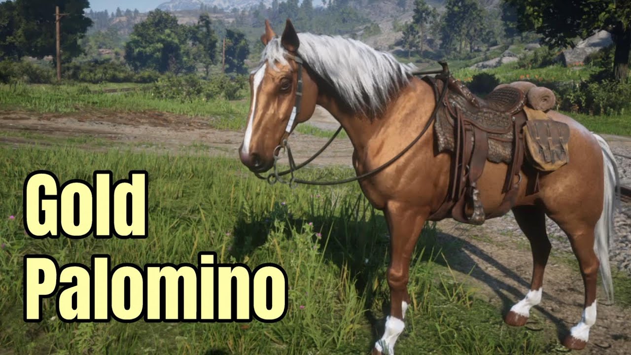 Horseman 9 Challenge with Gold Palomino Tennessee Walker : Red Dead ...