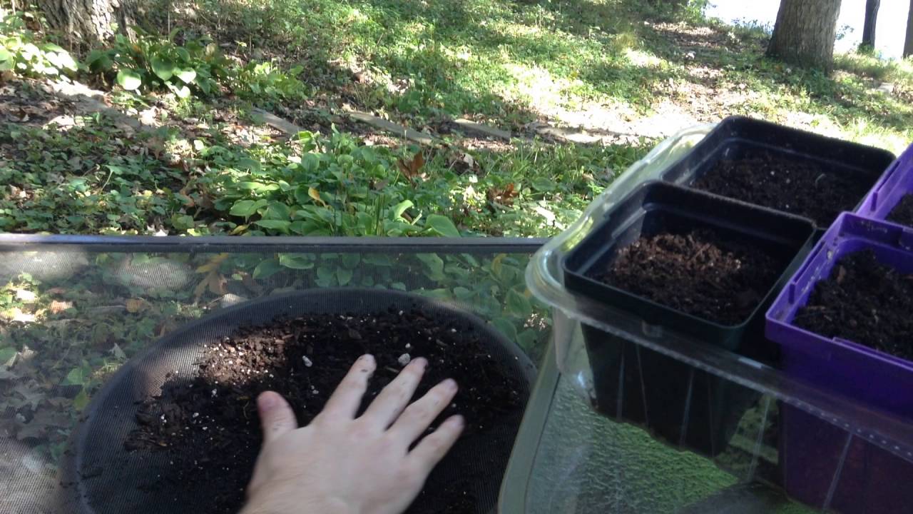 Sift Potting Mix to make Seed Starting Mix - YouTube