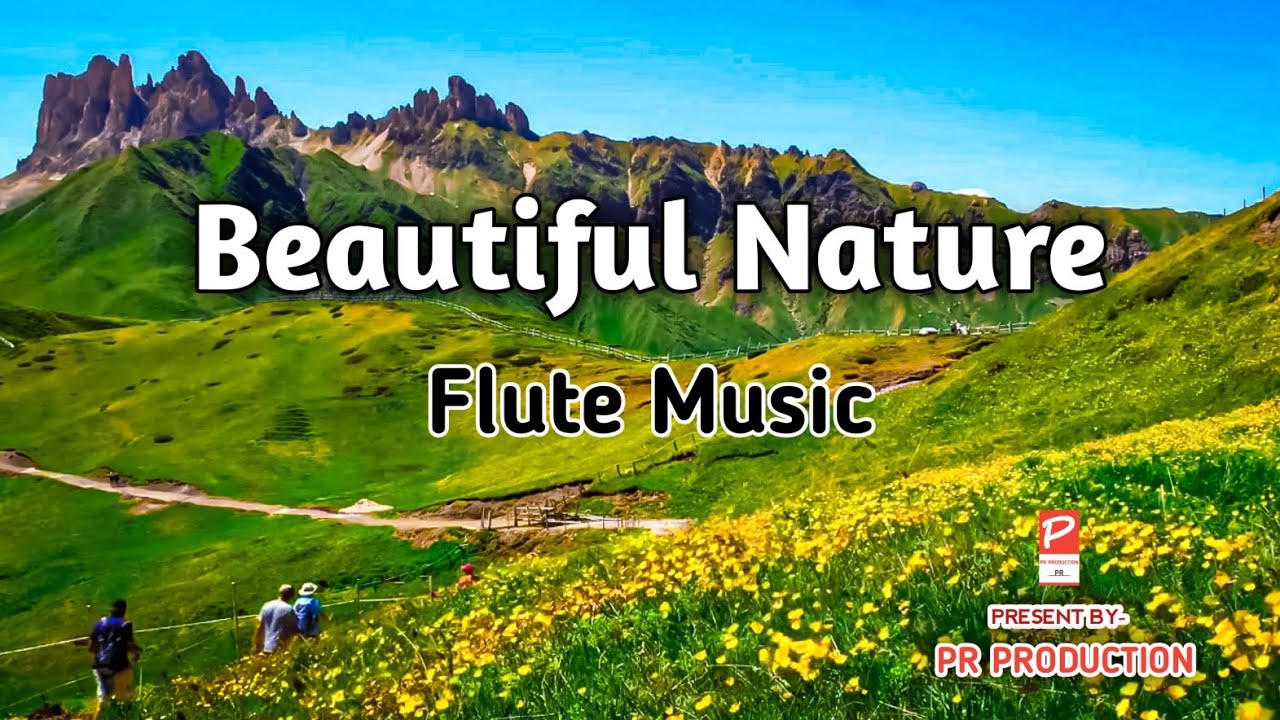 Beautiful Nature//🌲🌻 Awesome Moment// 🌼🌻Flute Music // Nature Love//🌾🌳 ...