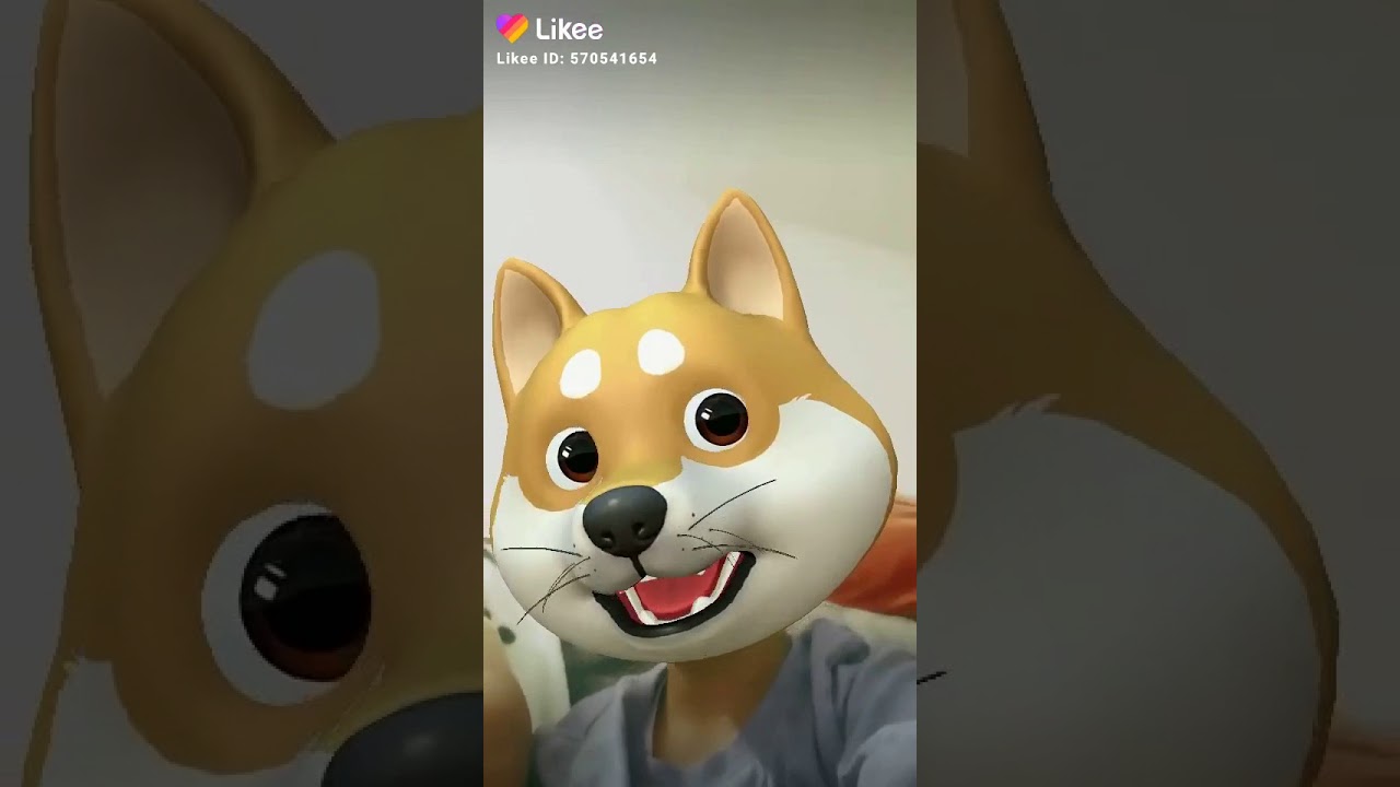 El perro Max le mandé un mensaje a su prima - YouTube