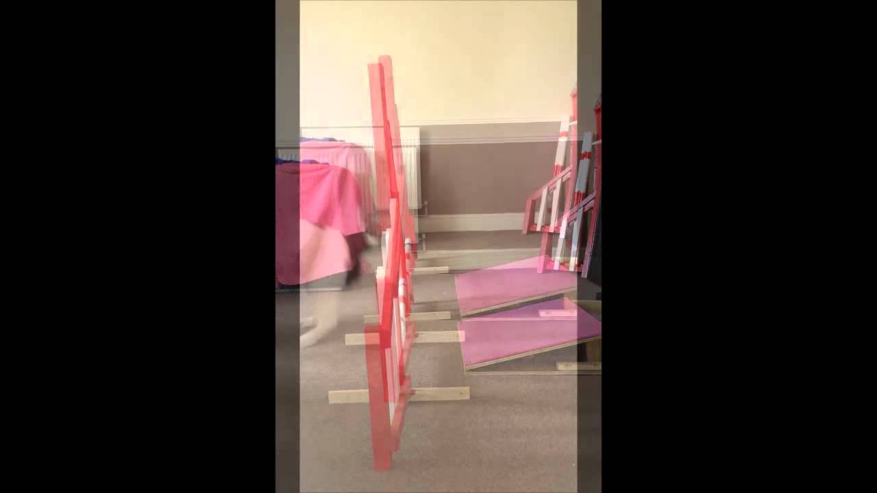 Flyball Box Turn - Practising the correct movement - YouTube