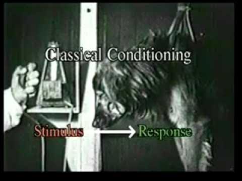 B.F. Skinner Foundation - A Fresh Appraisal - YouTube