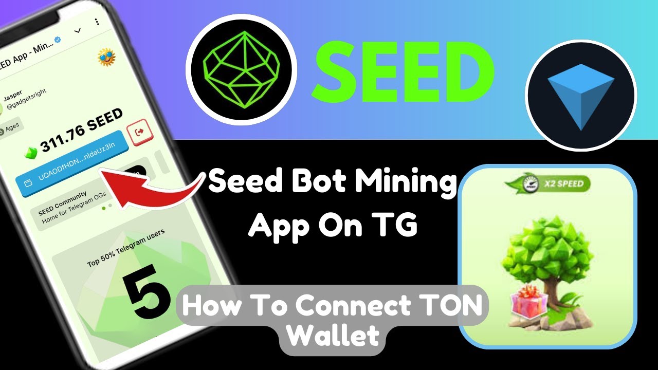 Seed Mining Bot Update | Connect TON Wallet to Withdrawal You Coins # ...