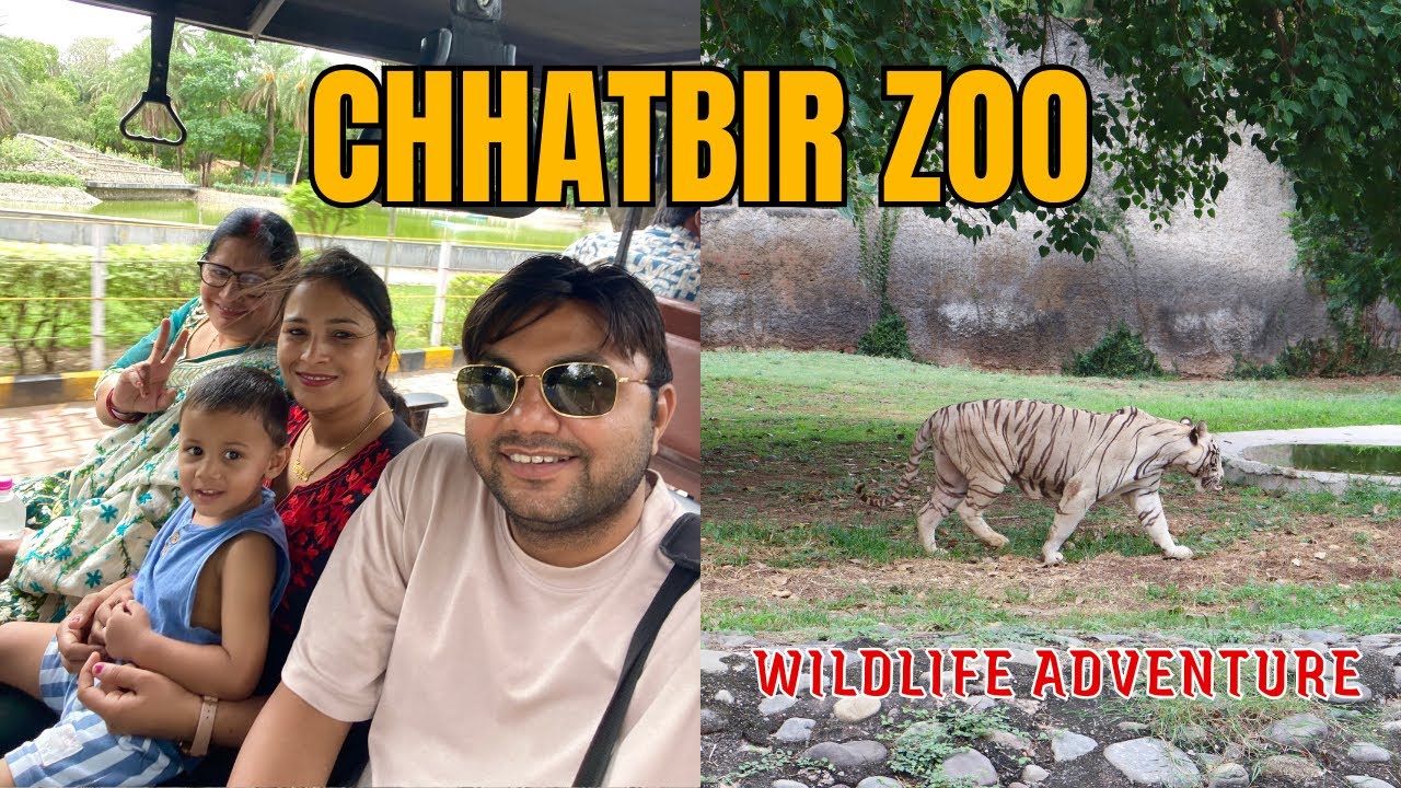 Exploring Chhatbir Zoo with Family | Wildlife Safari, Big Cats & More ...