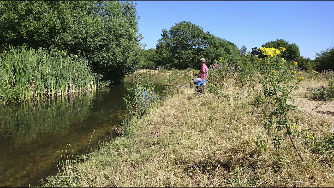 051. A Walk along the River Gade on Croxley Common Moor - An Angler's ...