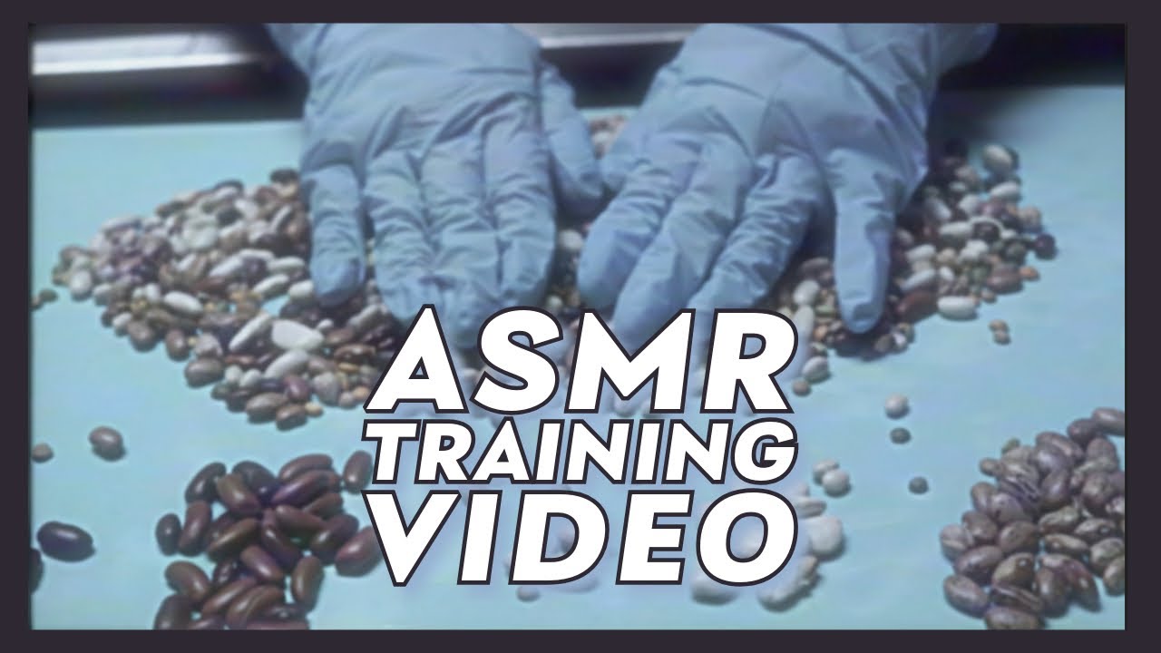 ASMR - Sleepy Beans Quality Control Training Module 1 - YouTube