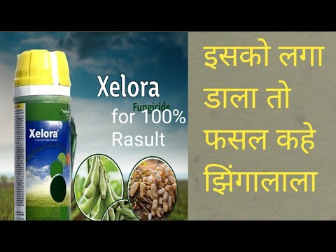 BASF XELORA FUNGICIDE FOR SEED TREATMENT। बीज उपचार झलोरा। #fungicides ...