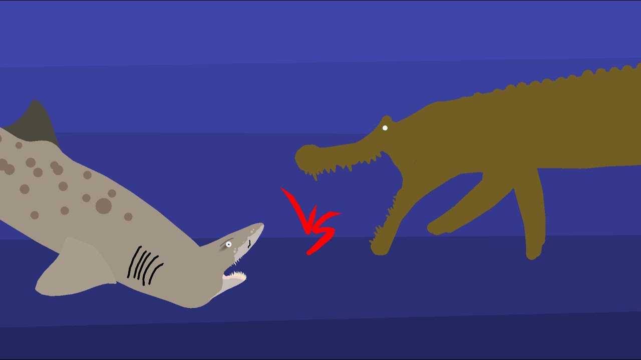 Orinoco crocodile vs sand tiger shark - YouTube