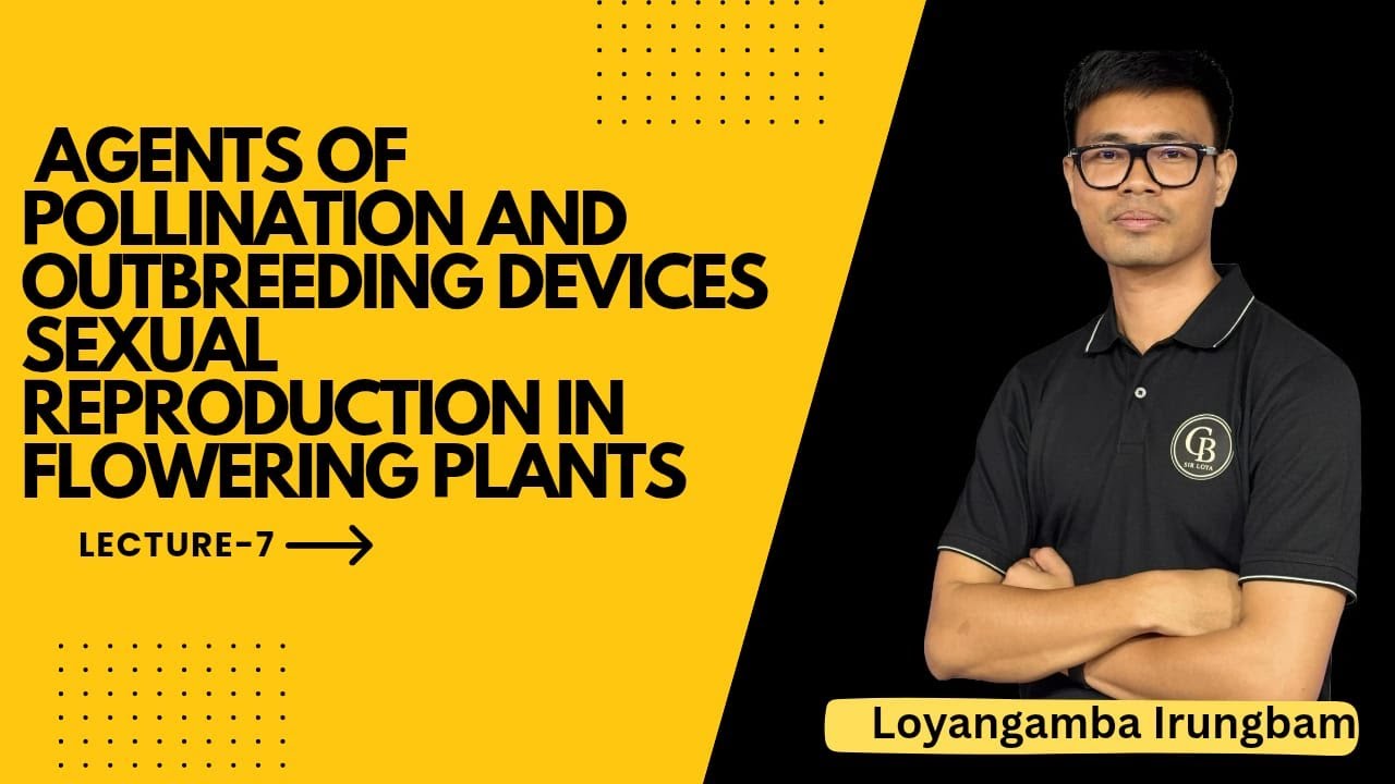 lecture 7 agents of pollination and outbreeding devices Sexual ...