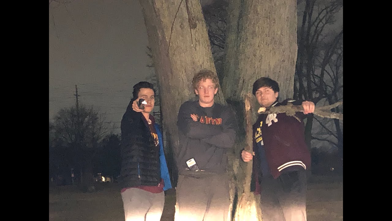 The Quest for the Golden Chin (Movie Trailer) - YouTube