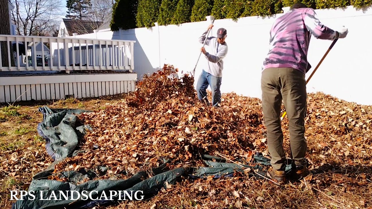 landscape company does a general cleaning on a house - YouTube