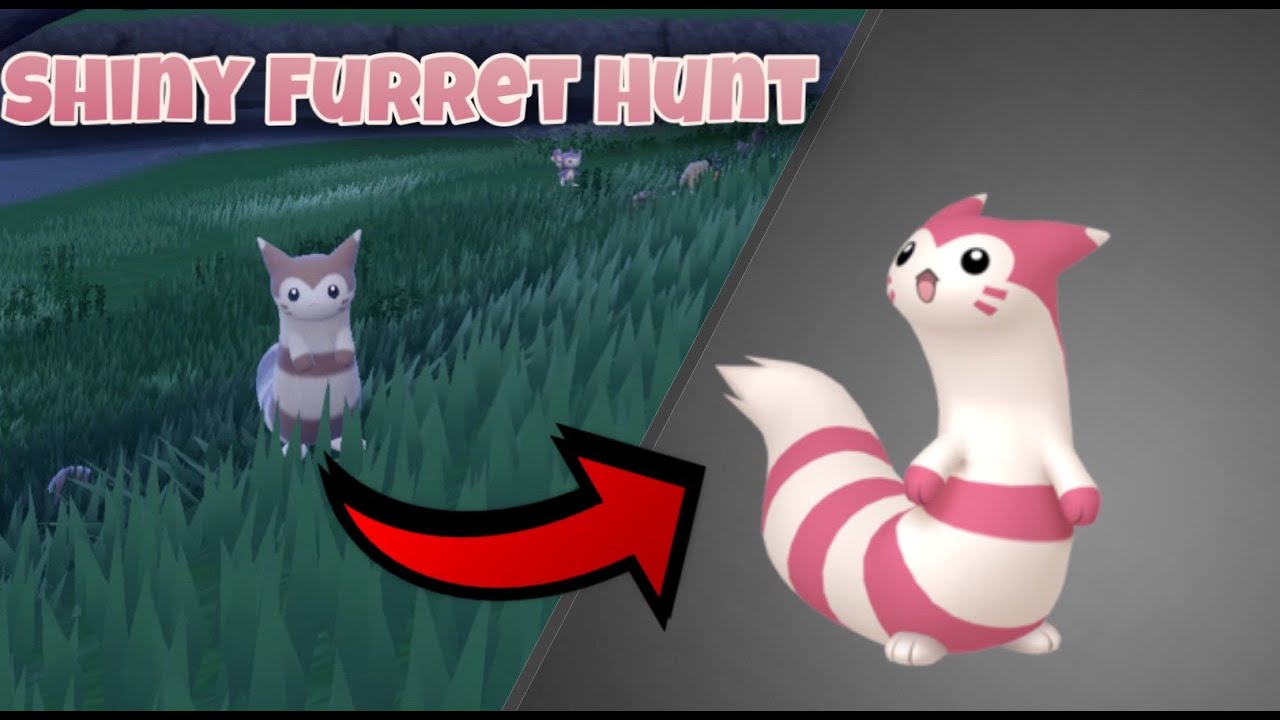 Shiny Furret Hunt :Live shiny hunting! - YouTube