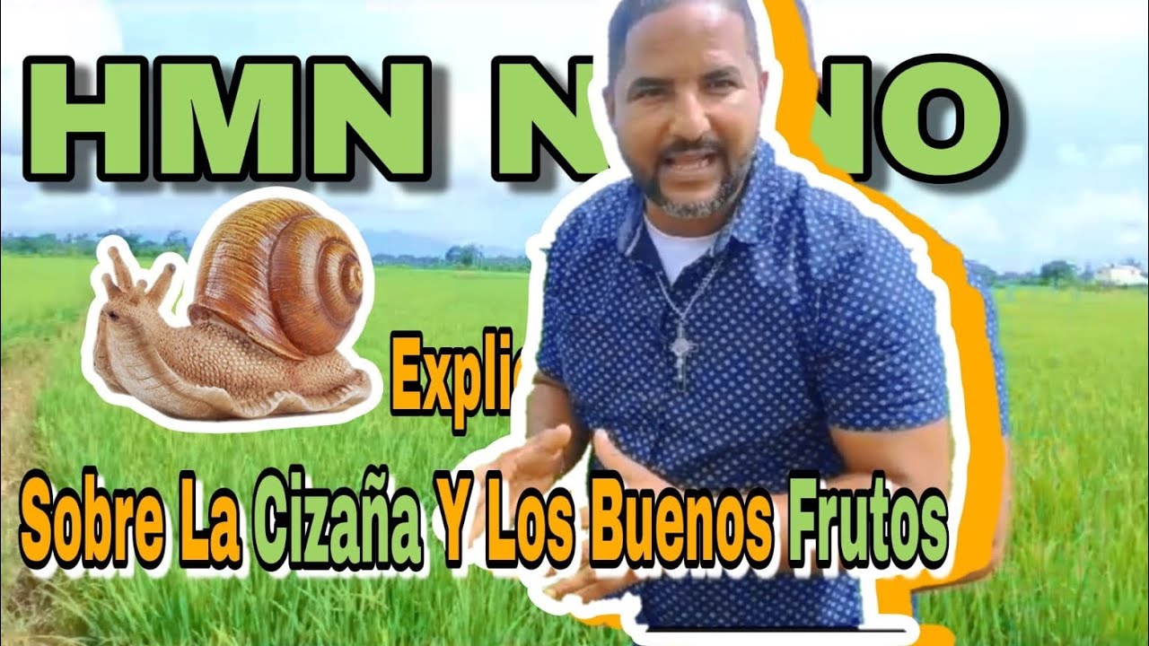 cuando se siembra la cisaña en nosotros!!!! - YouTube