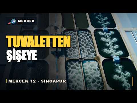 5 Milyon İnsan Tuvalet Suyu İçiyor — Hiçbiri Tiksinmiyor