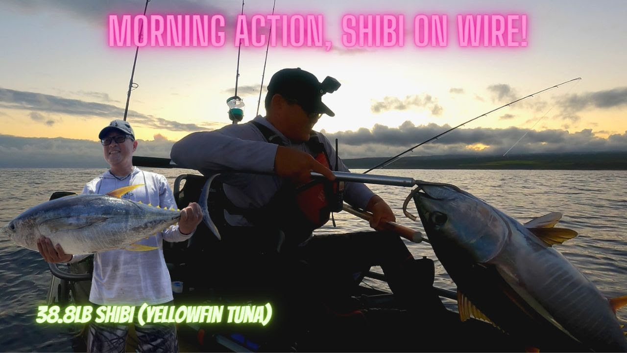 Morning Shibi on Wire! Good things happen w/ @HungerStrikeOutdoors ...