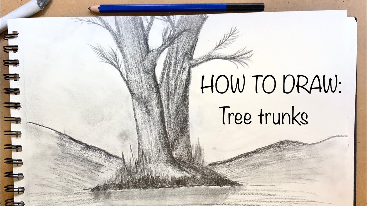 How to draw | Tree trunks (beginner) - YouTube