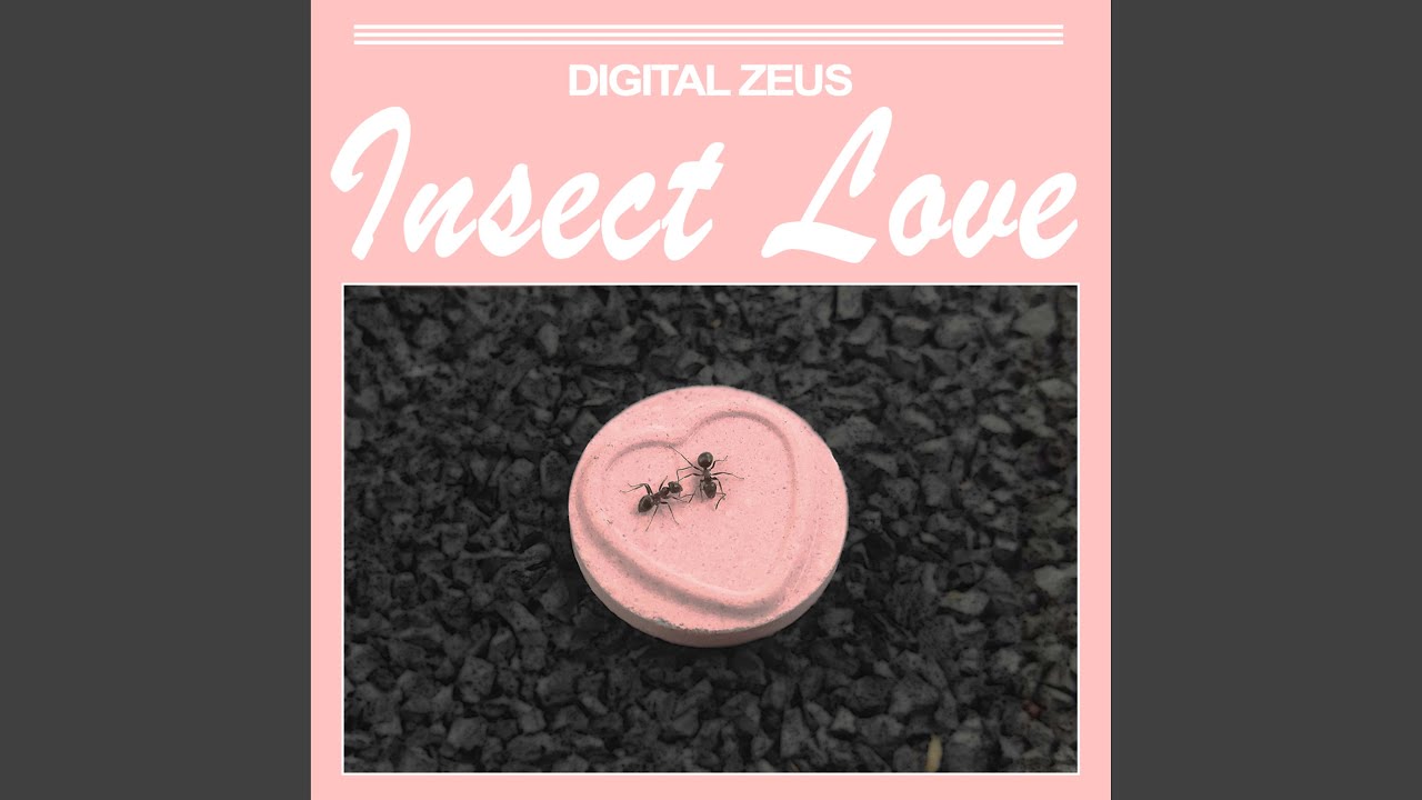 Insect Love - YouTube