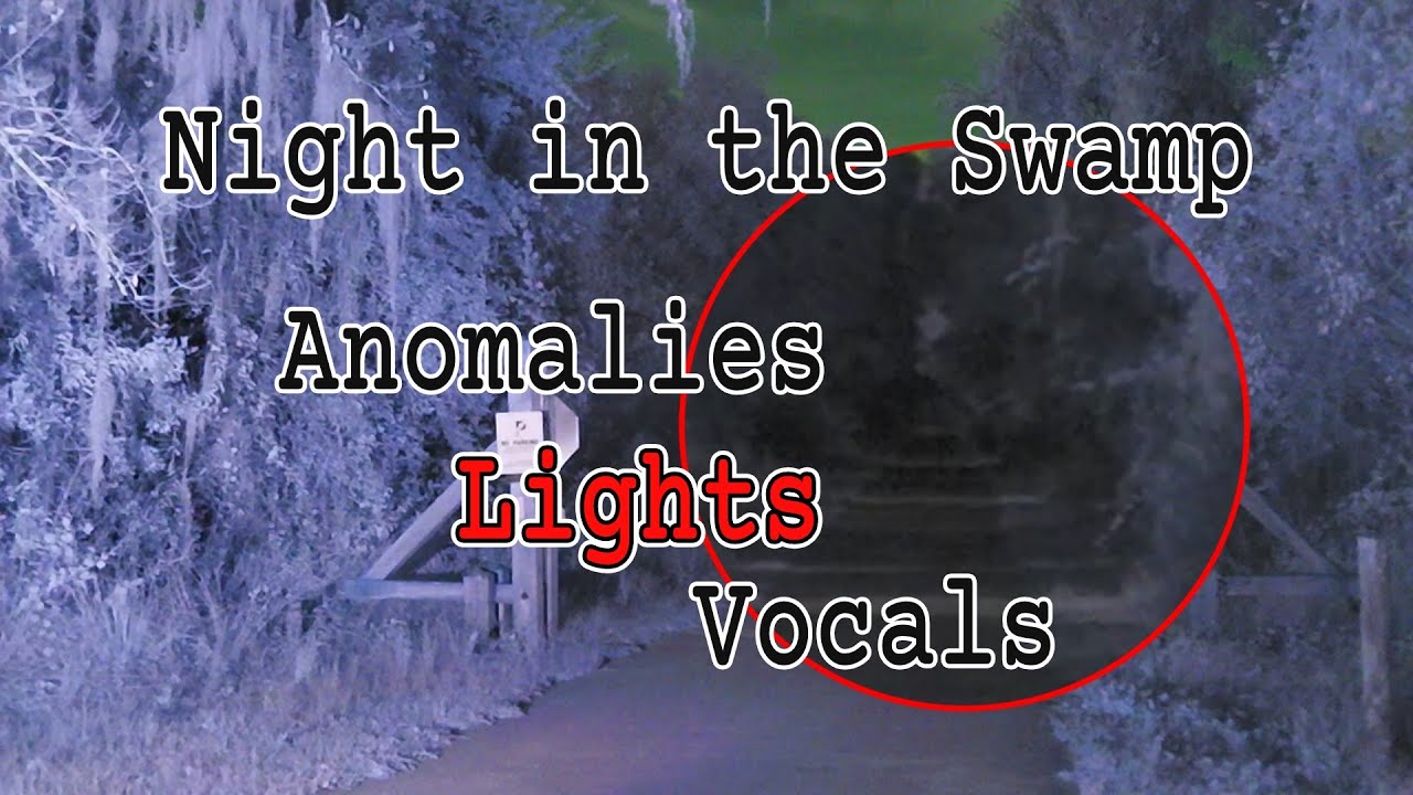 NIGHT in the Green Swamp | Anomalies-Lights-Vocals - YouTube